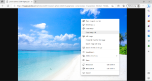 How to Get the URL of an Image – Tips and Tricks 2023 – Trustindex.io